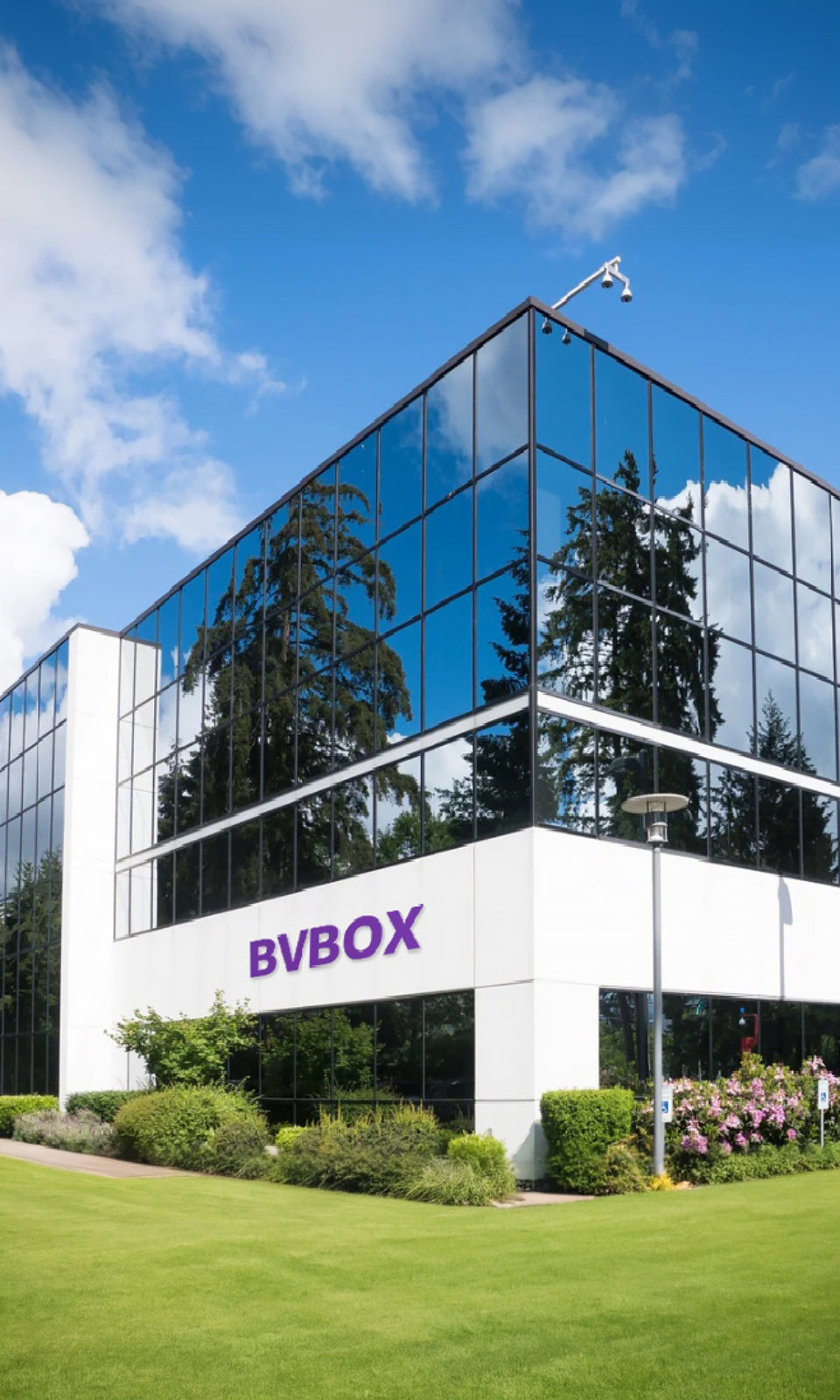 BVBOX® | Premium Shoe Storage Solutions