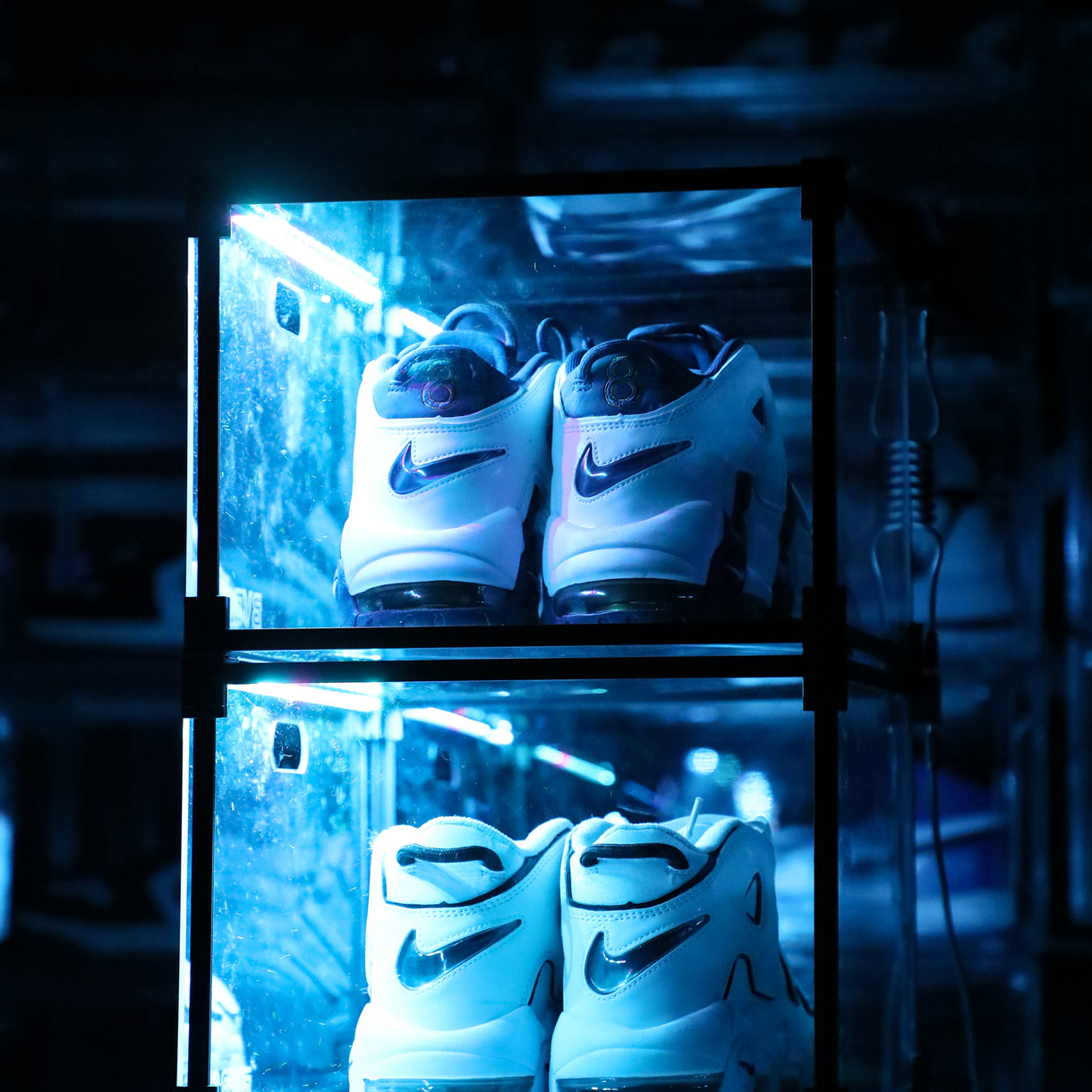 LED Voice-Controlled Drop Side Sneaker Display Box – BVBOX®